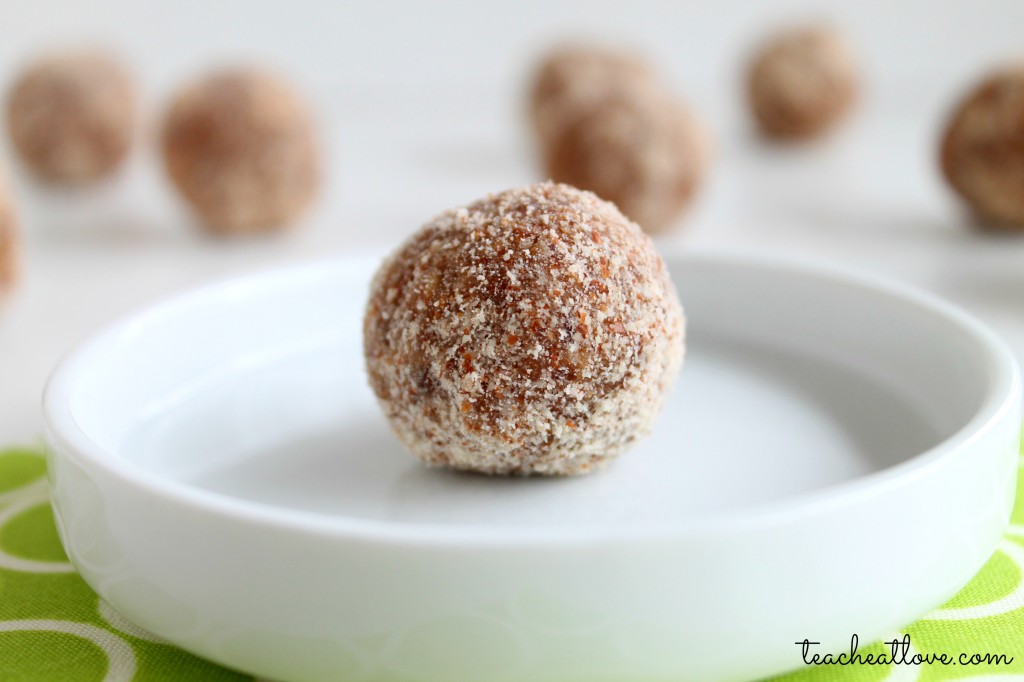 Apple Snack Bites - Eat. Drink. Love.